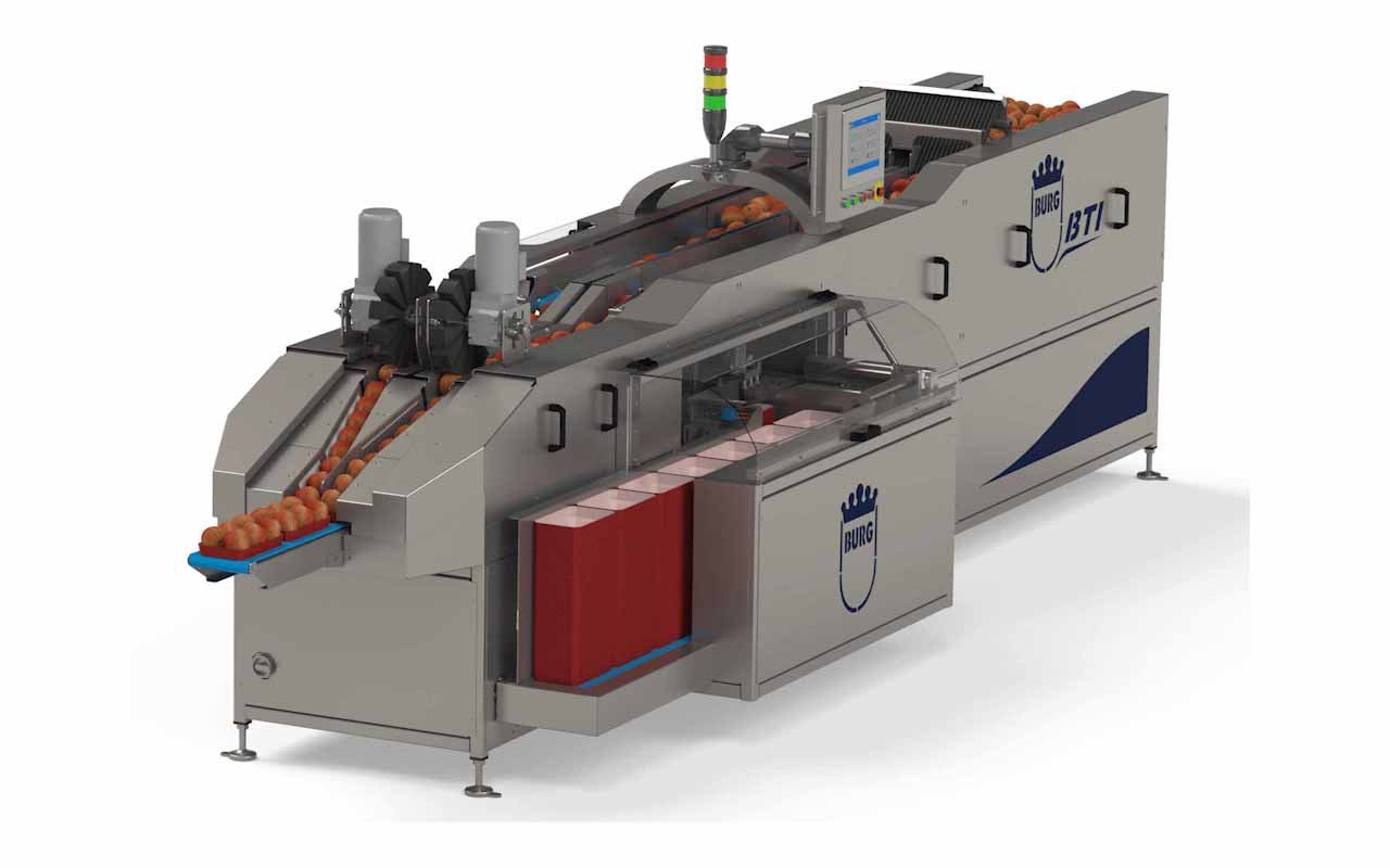 Burg - Small Tray Filler | Wyma Solutions